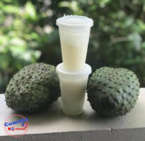 REFRESCANTES RECETAS LIMBER de PUERTO RICO 《2022》